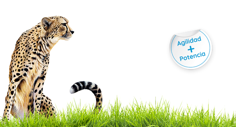 SummaTech | Tecnología sin Límites